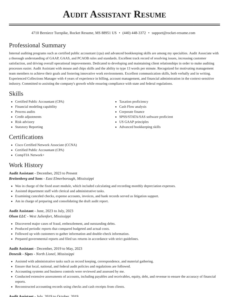 Audit Assistant Resumes | Rocket Resume
