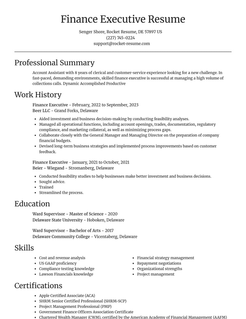 Finance Executive Resume
