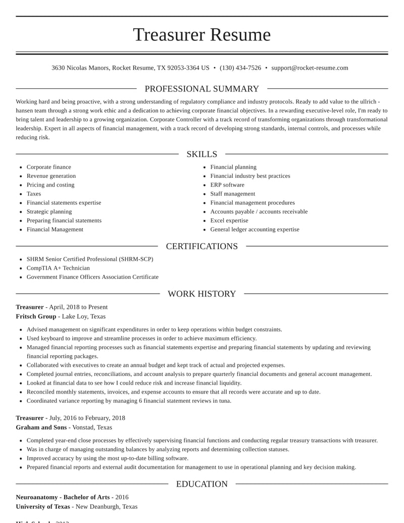 Treasurer Resume Tool & Sections | Rocket Resume