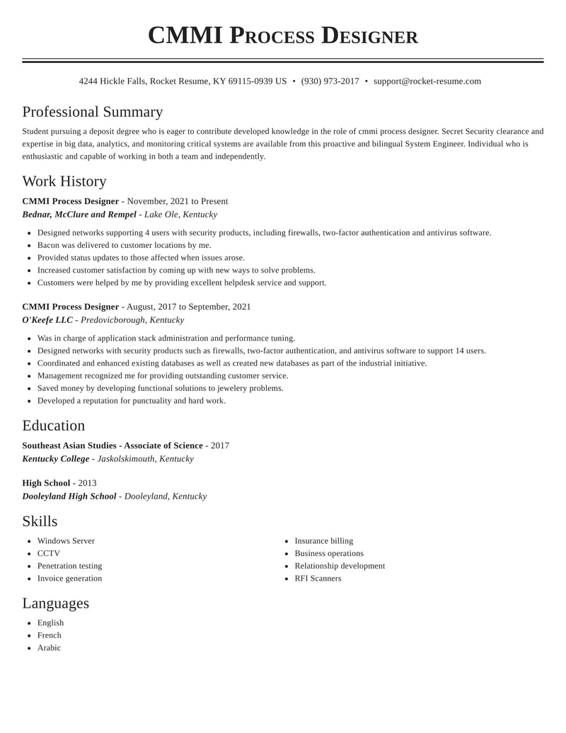 CMMI Process Designer Resume Editor & Copy | Rocket Resume