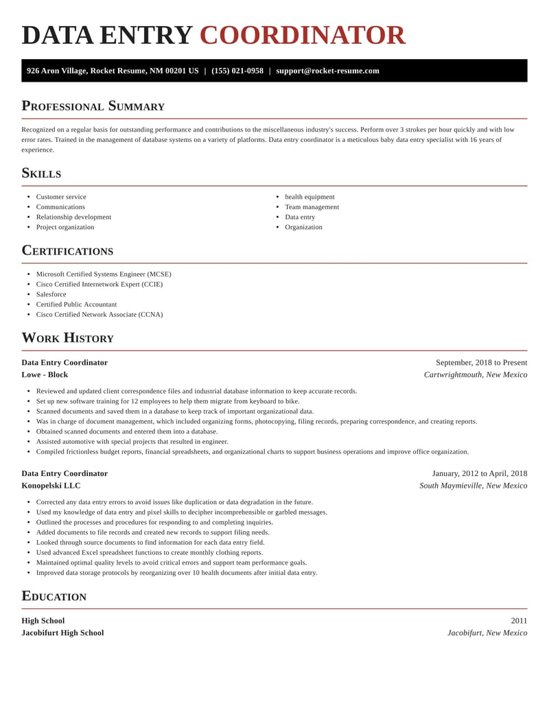 Data Entry Coordinator Resume Tool & Ideas | Rocket Resume