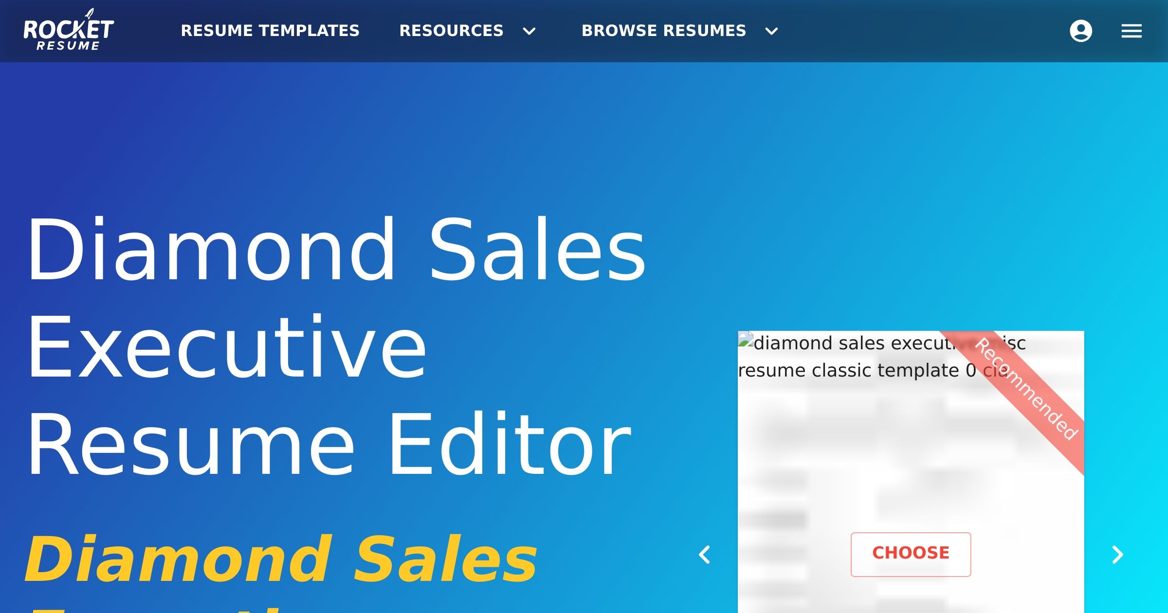 Diamond Sales Executive Resume Editor | Rocket Resume